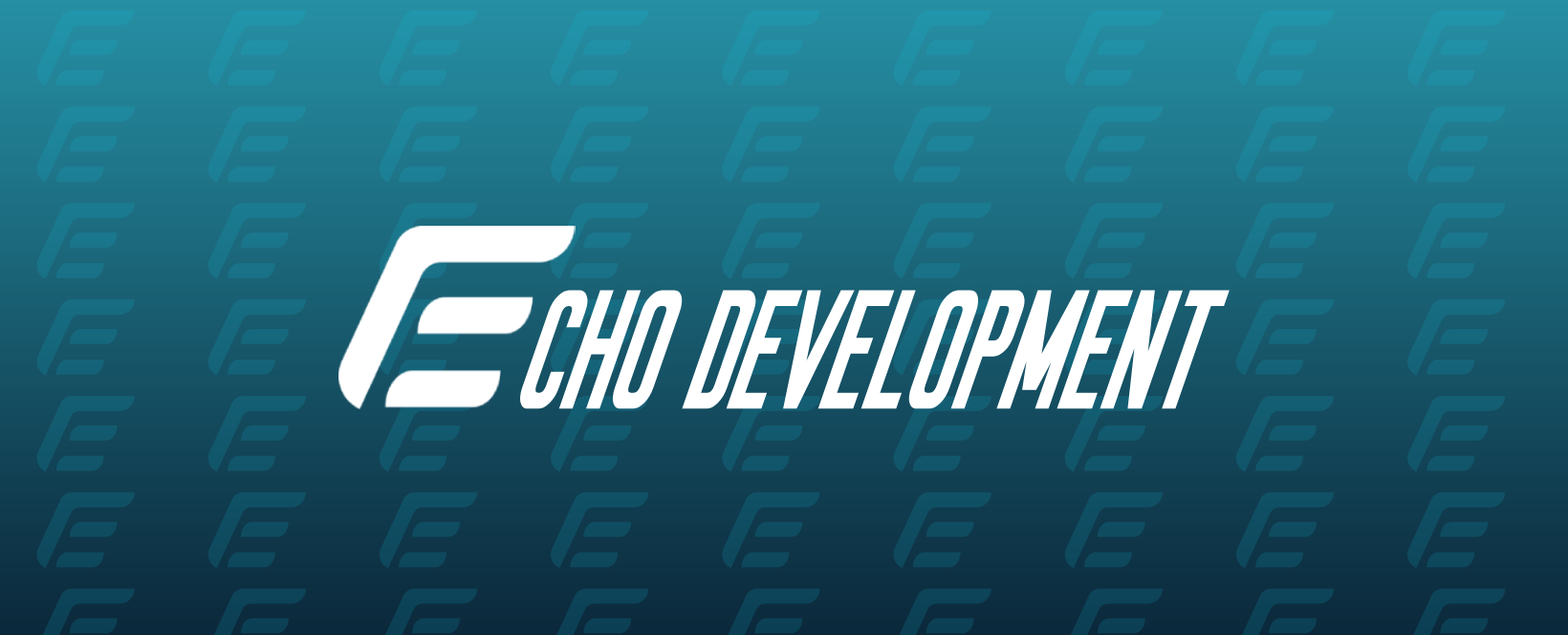 ECHO Bot Solutions Website